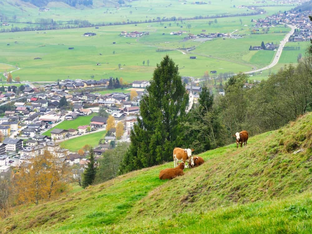 Saalbach Hinterglemm im Urlaub erleben